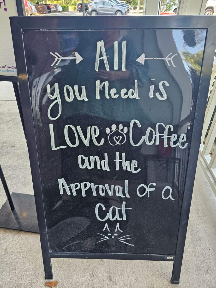 Buzzcatz Coffee & Sweets - Orange Beach - Gulf Coast Journeys