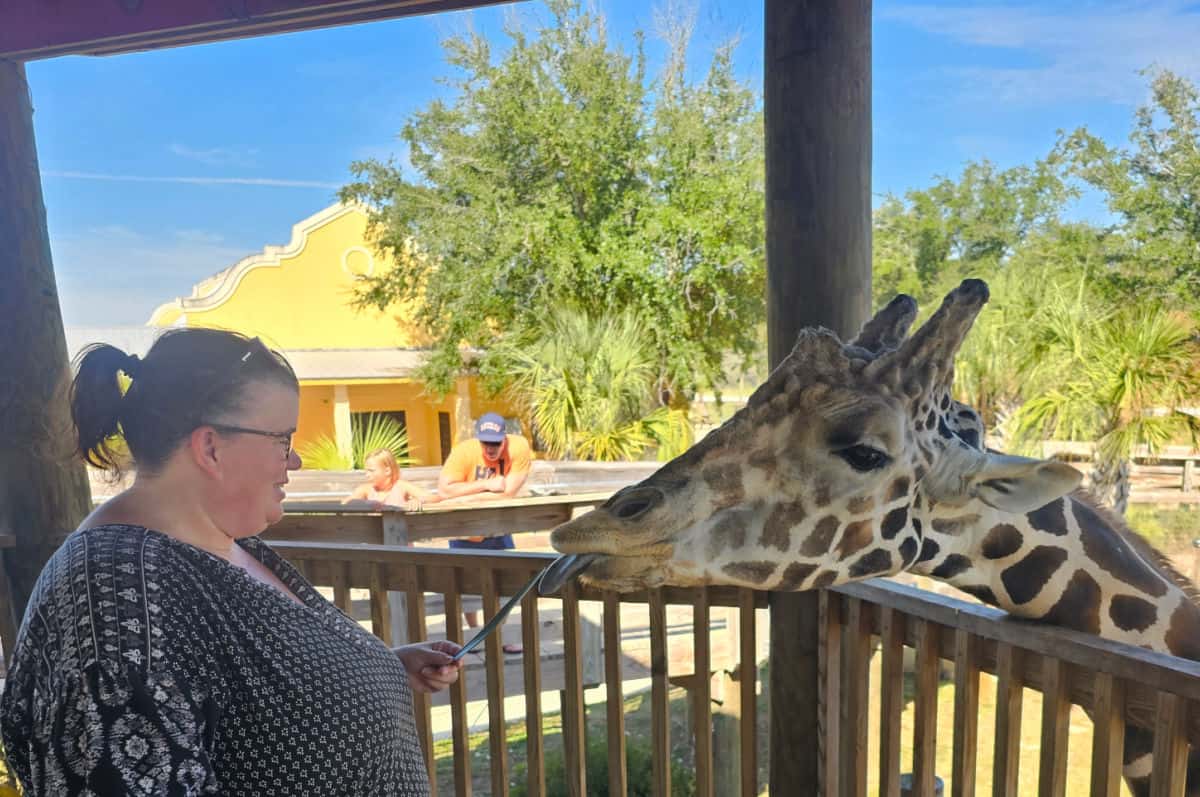 Alabama Gulf Coast Zoo - Gulf Coast Journeys