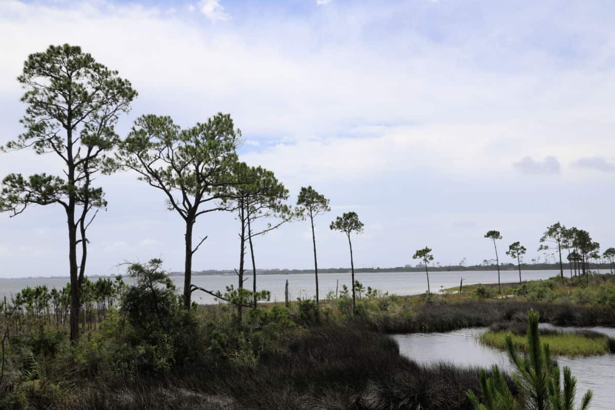 Free Things to do in Gulf Shores and Orange Beach Alabama - Gulf Coast ...