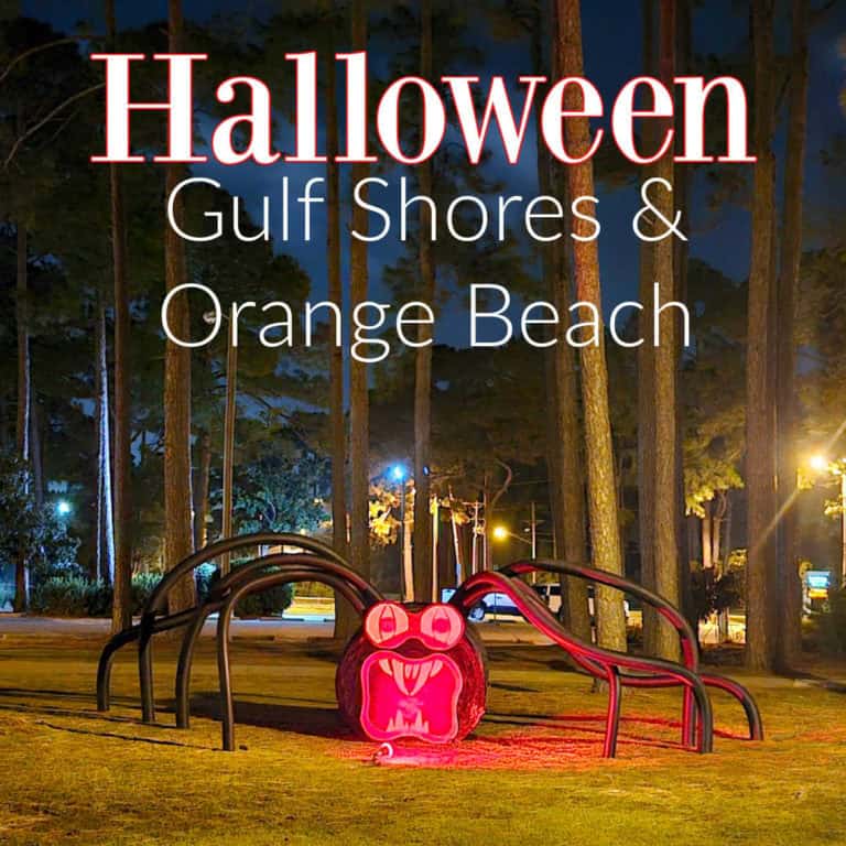 14 Best Dolphin Cruise Orange Beach & Gulf Shores - Gulf Coast Journeys