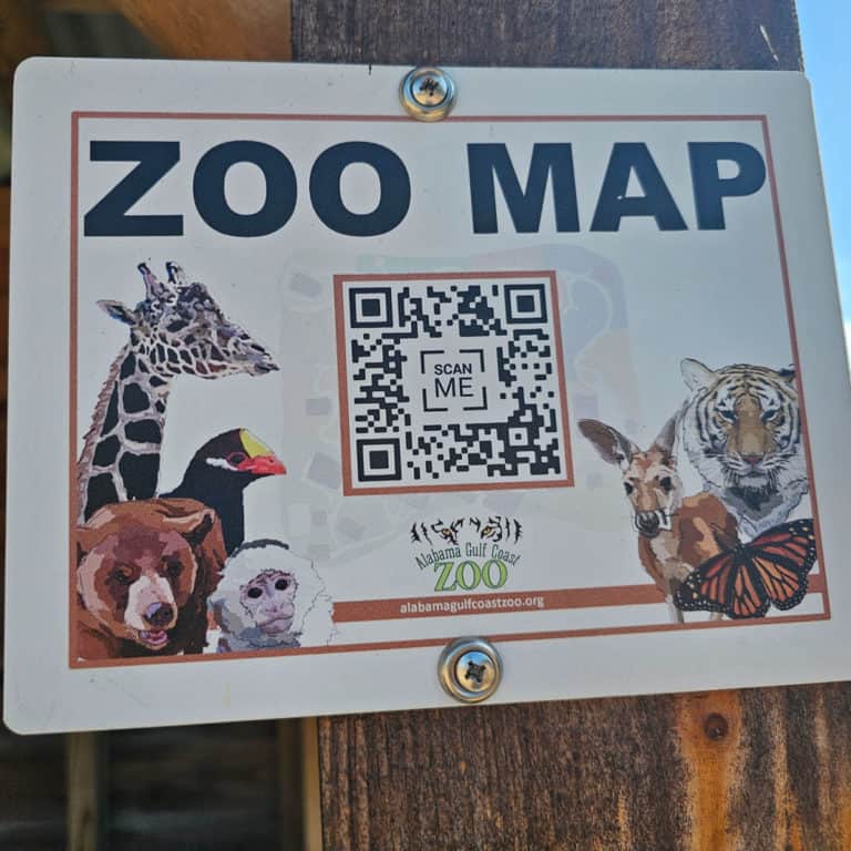 Alabama Gulf Coast Zoo - Gulf Coast Journeys